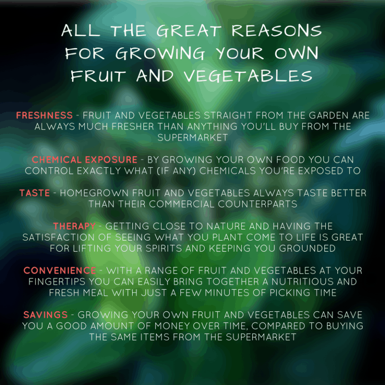 Edible Gardening - The Beginners Guide