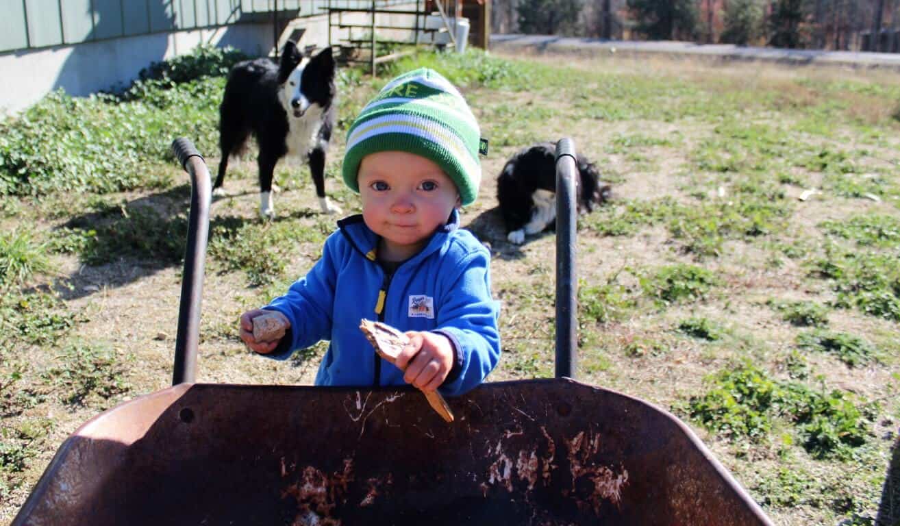 Composting Archives - Growing and Gathering